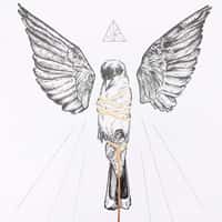 Linka Lipski (@LinkaLipski) Official Clapper | Watch Linka Lipski's ...