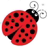 Heather’sTabs (@HeathersTabs) Official Clapper | Watch Heather’sTabs's ...