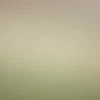 Logan (@NormandCote62071939) Official Clapper | Watch Logan's Newest Clapper Videos