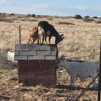 Fly Star Farms (@FlyStar) Official Clapper | Watch Fly Star Farms's ...