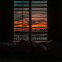 4:20 AM (@Jung_Su_chris) Official Clapper | Watch 4:20 AM's Newest ...