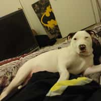 Tommy Hungerford (@TommyHungerford) Official Clapper | Watch Tommy ...