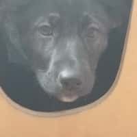 Dave Trudeau (@DaveTrudeau) Official Clapper | Watch Dave Trudeau's ...