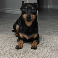 TINA (@TinaServick) Official Clapper | Watch TINA 's Newest Clapper Videos