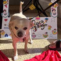 Tina (@Stoplying75) Official Clapper | Watch Tina's Newest Clapper Videos