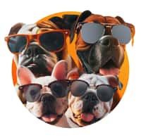 boxer_winston (@boxer_winston) Official Clapper | Watch boxer_winston's ...