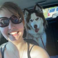 Cat (@Catgiggles) Official Clapper | Watch Cat's Newest Clapper Videos