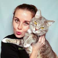 KuzcoPlusCleo CATS (@Kuzcopluscleo) Official Clapper | Watch ...